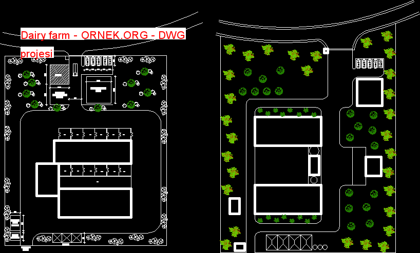 Dairy farm dwg projesi - Autocad Projeler