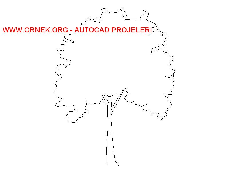 Ağaç dwg projesi - Autocad Projeler