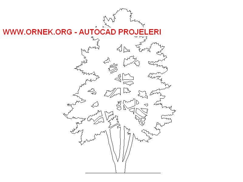 Ağaç dwg projesi - Autocad Projeler
