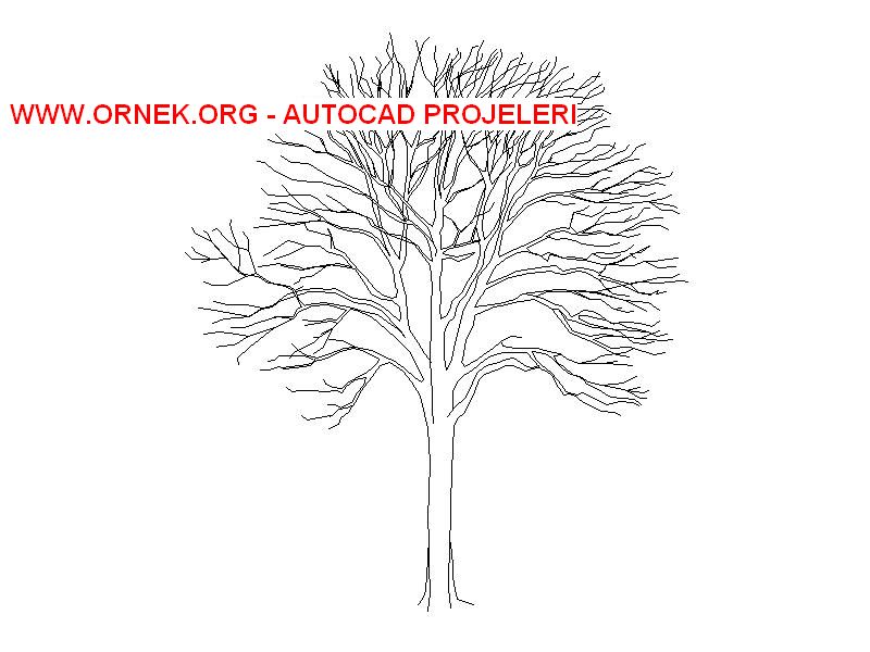 Ağaç dwg projesi - Autocad Projeler