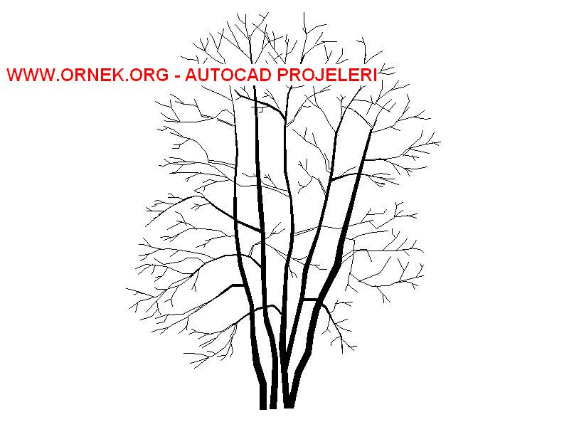 Ağaç dwg projesi - Autocad Projeler