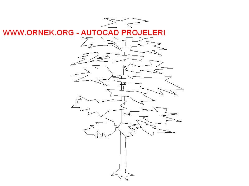 Ağaç dwg projesi - Autocad Projeler