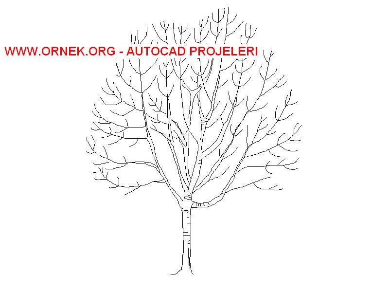 Ağaç dwg projesi - Autocad Projeler