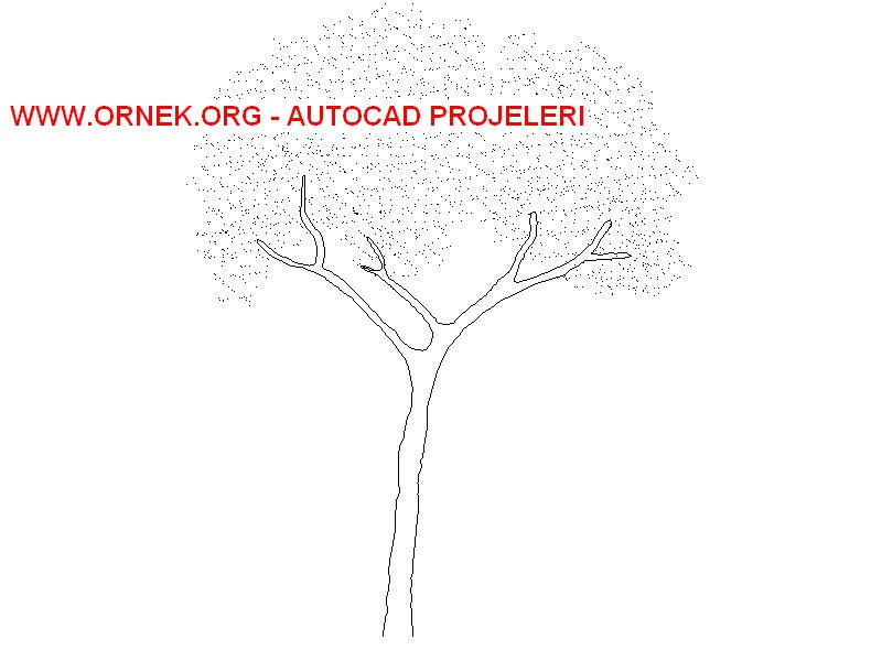 Ağaç dwg projesi - Autocad Projeler