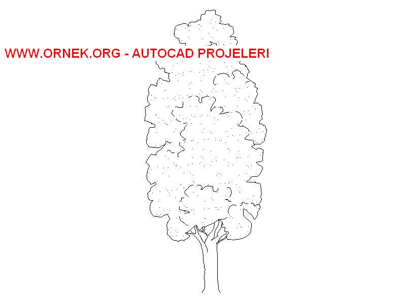 Ağaç dwg projesi - Autocad Projeler
