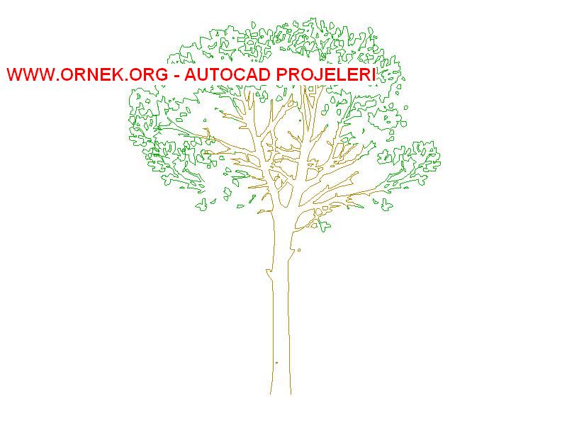 Ağaç dwg projesi - Autocad Projeler