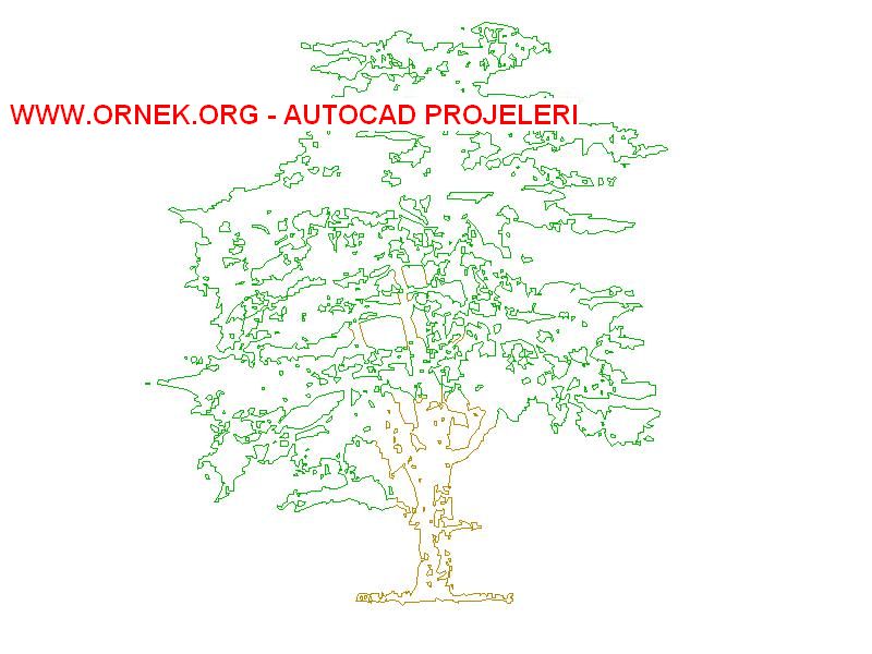 Ağaç dwg projesi - Autocad Projeler