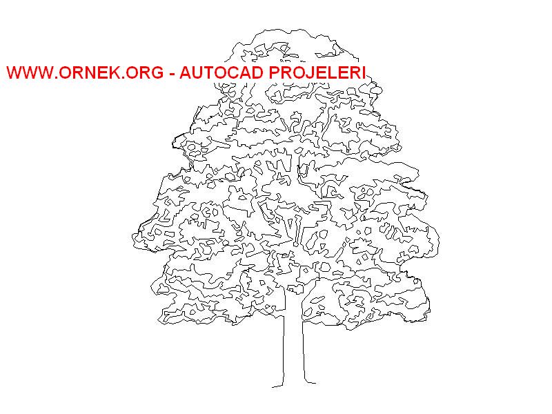 Ağaç dwg projesi - Autocad Projeler