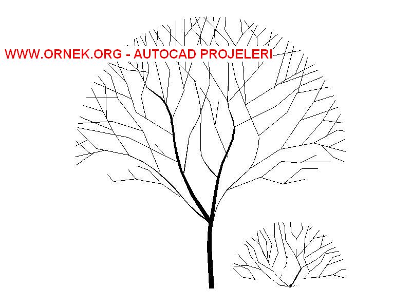 Ağaç dwg projesi - Autocad Projeler