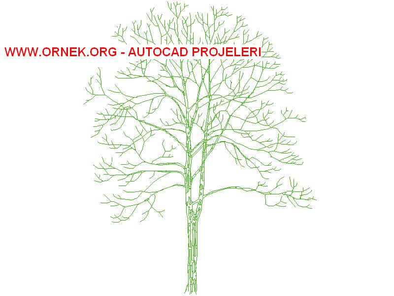 Ağaç dwg projesi - Autocad Projeler