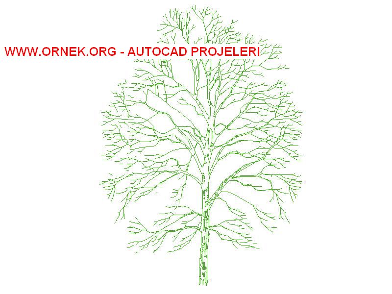 Ağaç dwg projesi - Autocad Projeler