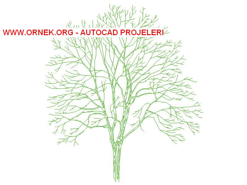 Ağaç dwg projesi - Autocad Projeler