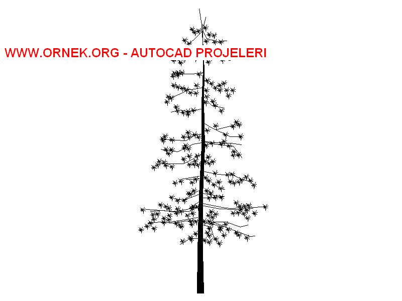 Ağaç dwg projesi - Autocad Projeler