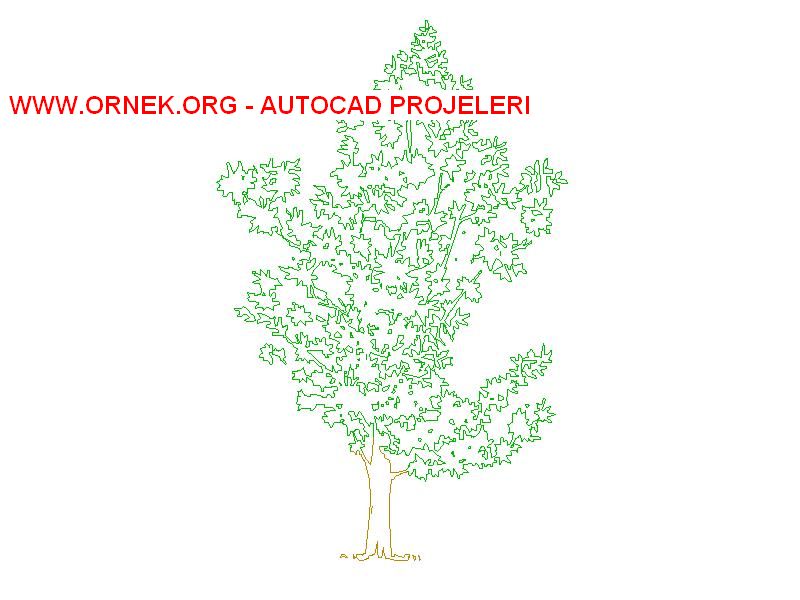 Ağaç dwg projesi - Autocad Projeler
