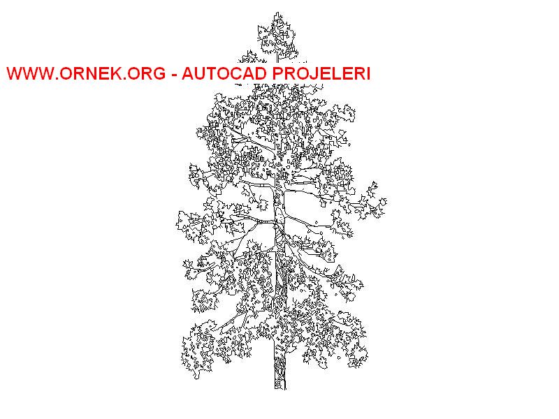Ağaç dwg projesi - Autocad Projeler