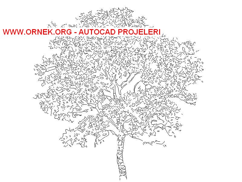 Ağaç dwg projesi - Autocad Projeler