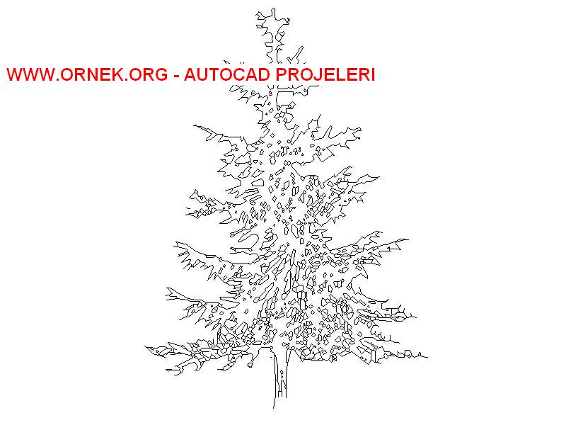 Ağaç dwg projesi - Autocad Projeler