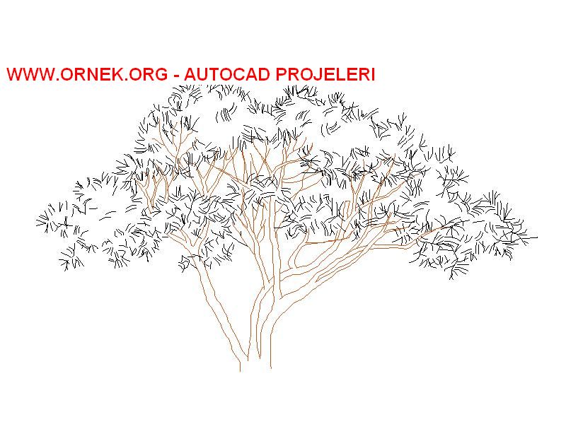 Ağaç dwg projesi - Autocad Projeler