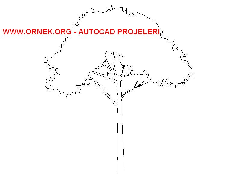 Ağaç dwg projesi - Autocad Projeler