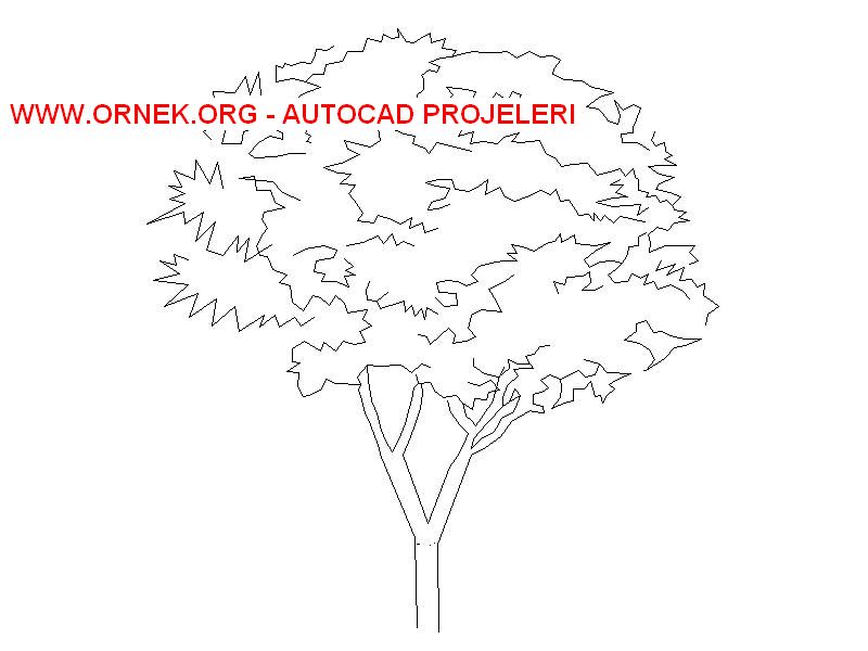 Ağaç dwg projesi - Autocad Projeler