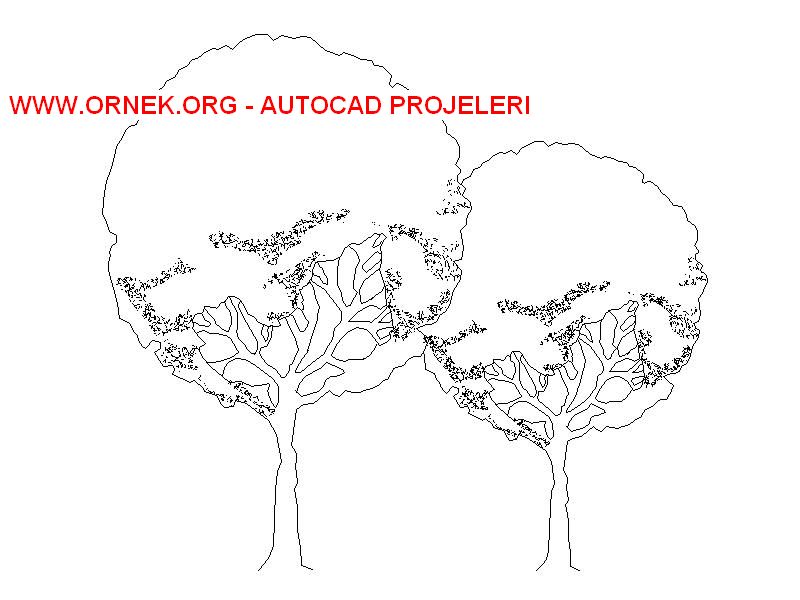 Ağaç dwg projesi - Autocad Projeler