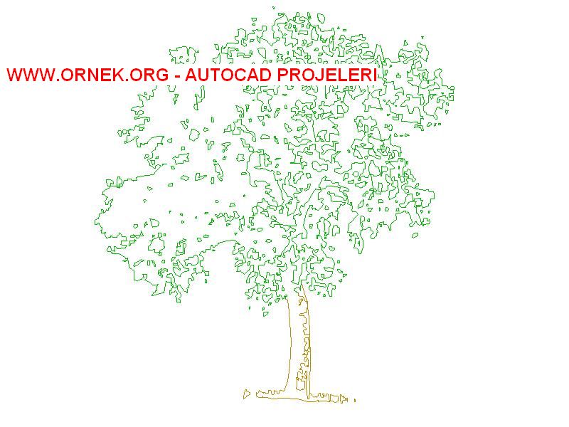 Ağaç dwg projesi - Autocad Projeler